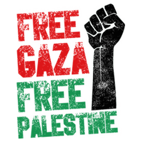 Free Gaza, Free Palestine : retour sur le rassemblement du 25 octobre ...